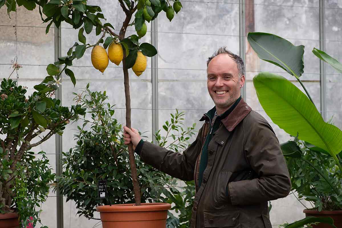GARDENS, GIGGLES, AND GREEN INITIATIVES – THE ALL NEW HUBS AT ROYAL ...