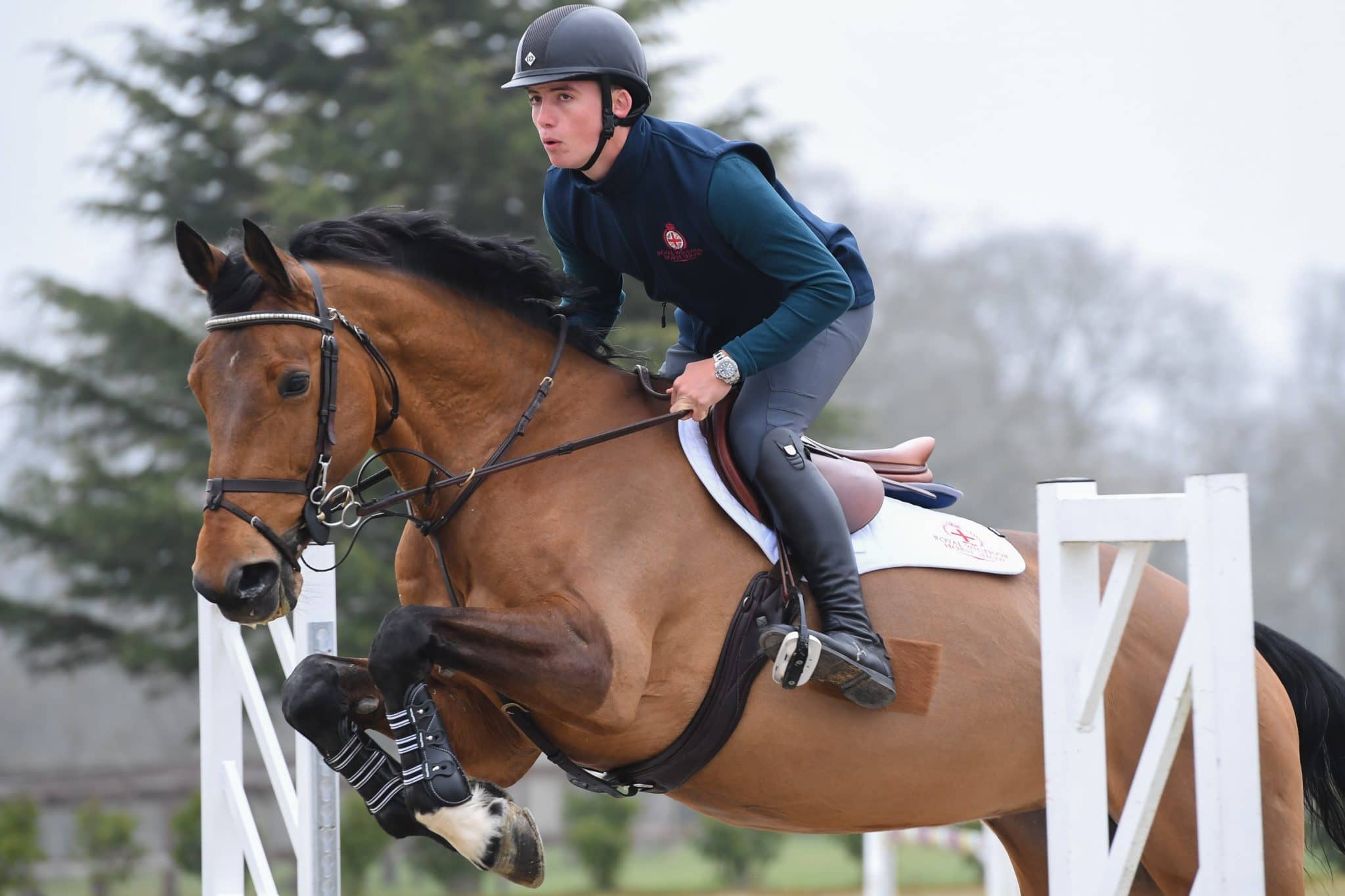 STOCKDALE AND WHITAKER BECOME AMBASSADORS FOR ROYAL WINDSOR HORSE SHOW ...